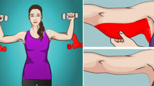 5 exercices faciles pour maigrir des bras - Mes Recettes Faciles